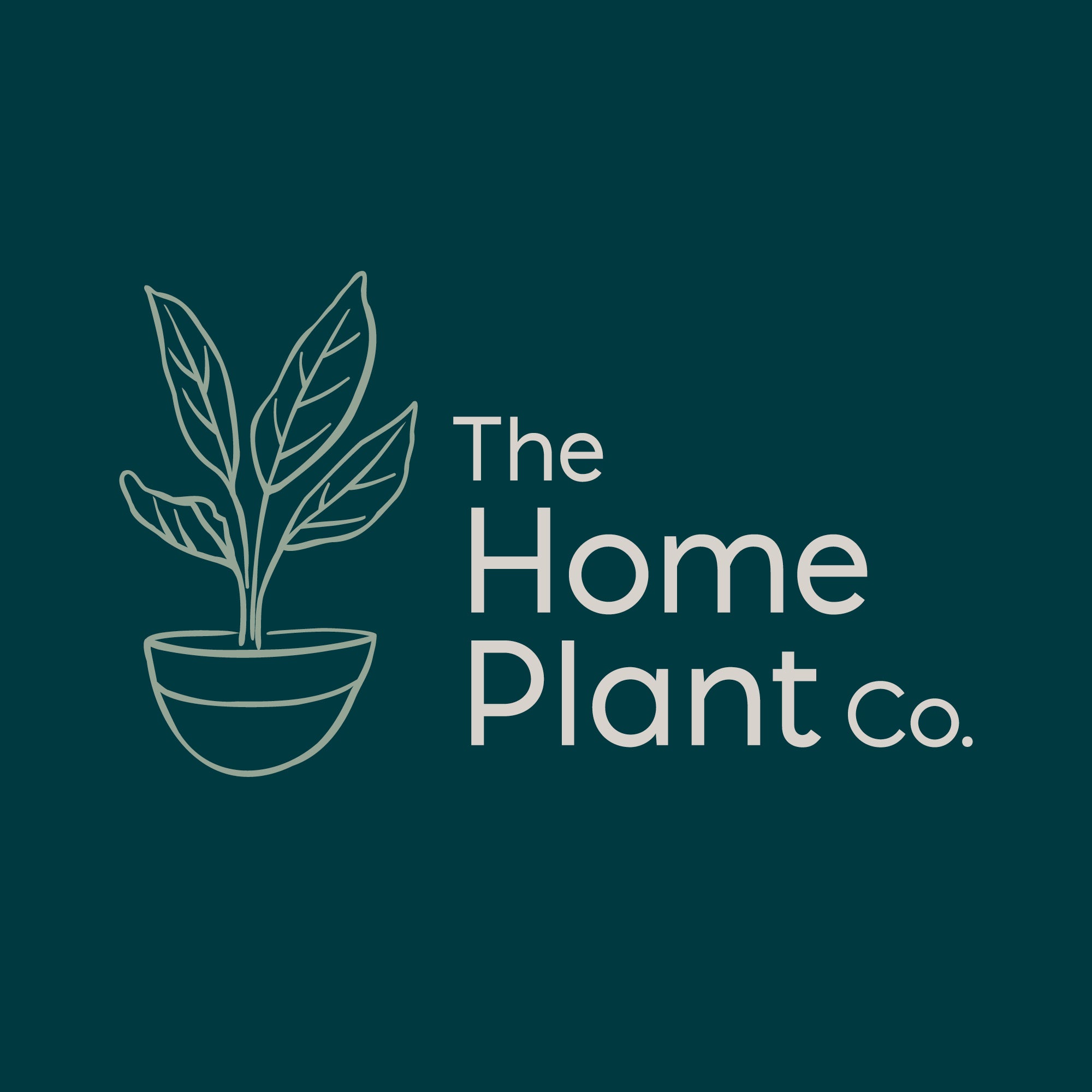 The Home Plant Co - Plant care specialists